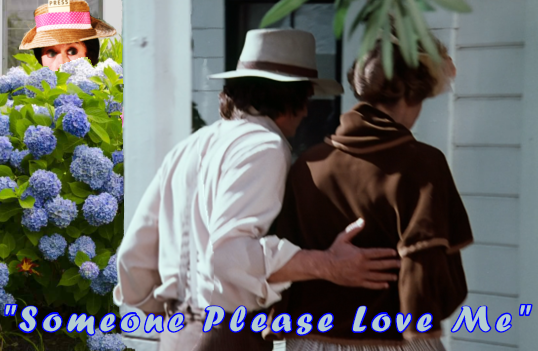 Walnut Groovy – An Annotated Guide to Little House on the Prairie